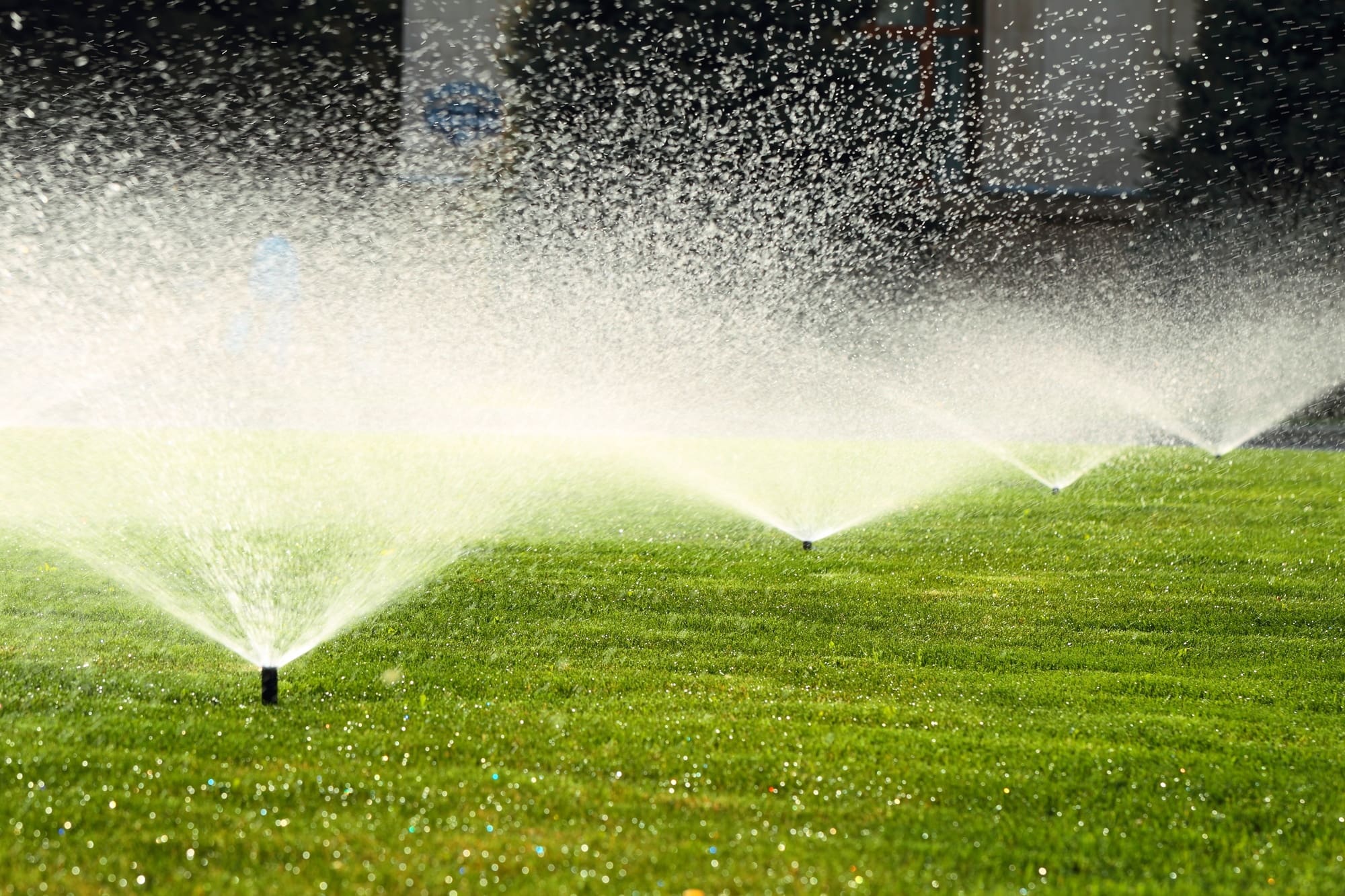 Proper Lawn Watering Practices - Dream Greener Lawn and Landscape Proper Lawn Watering Practices - Dream Greener Lawn and Landscape
