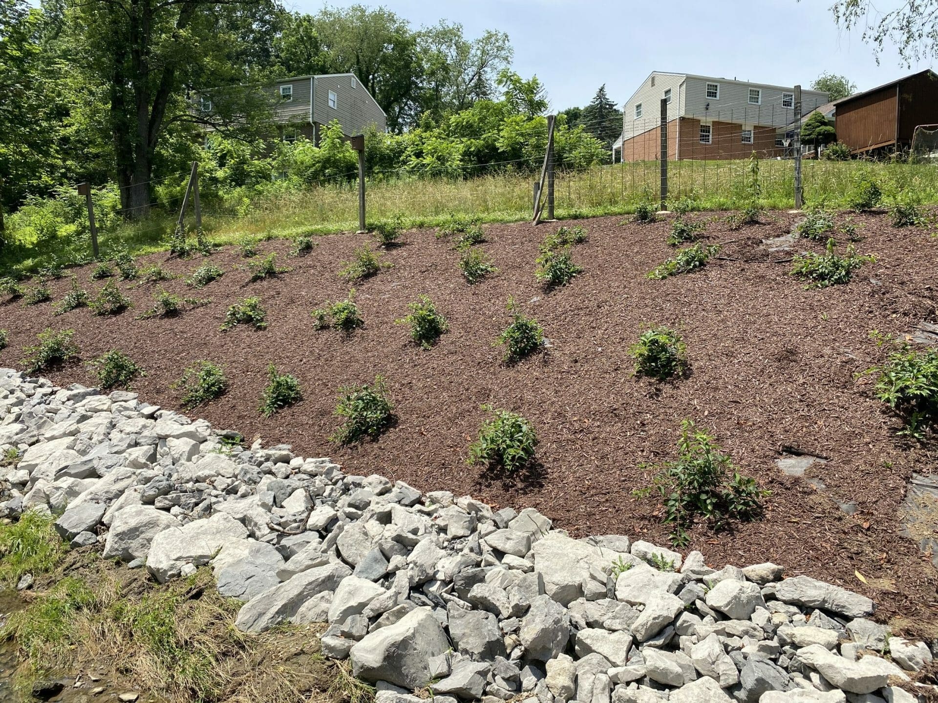 5 Ways to Use Space Efficiently in your Landscape - Dream Greener